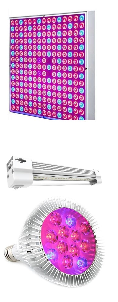 Why I Prefer LEDs for My Hydroponic Systems